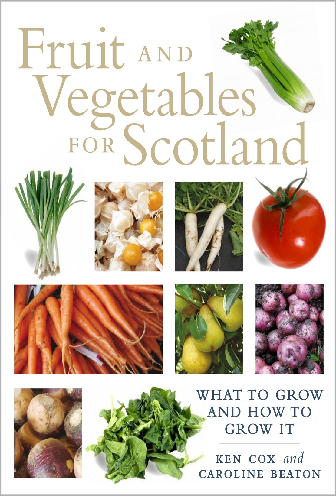 Fruit and Vegetables for Scotland